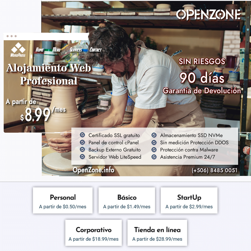 1.4 Alojamiento Web Profesional WordPress - OpenZone Studio
