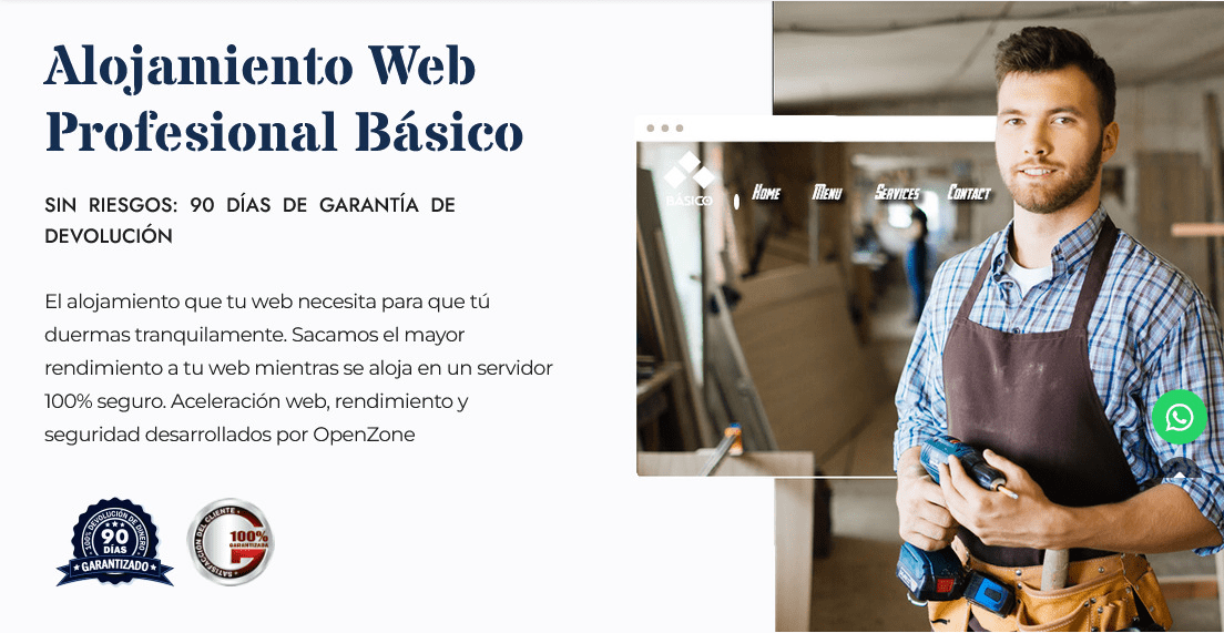 1.2 Web Hosting Profesional Básico - OpenZone Studio Design